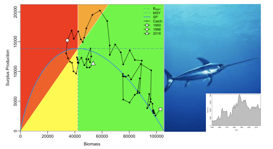 Ben Moffat Portfolio